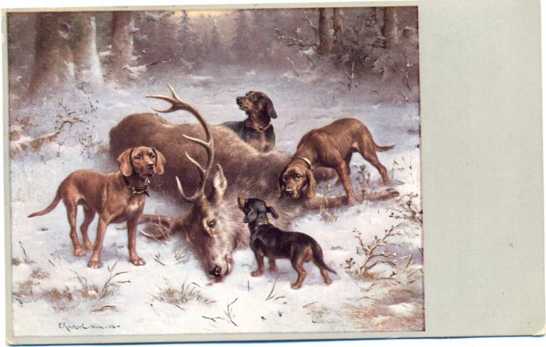 Jagd, Jagdhunde, Dackel, 1908 – Ansichtskarten & Briefmarken